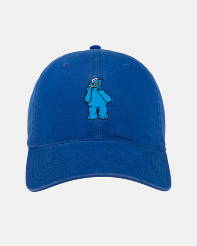 Cookie Monster Ball Park Cap – Flourish Gift and Home